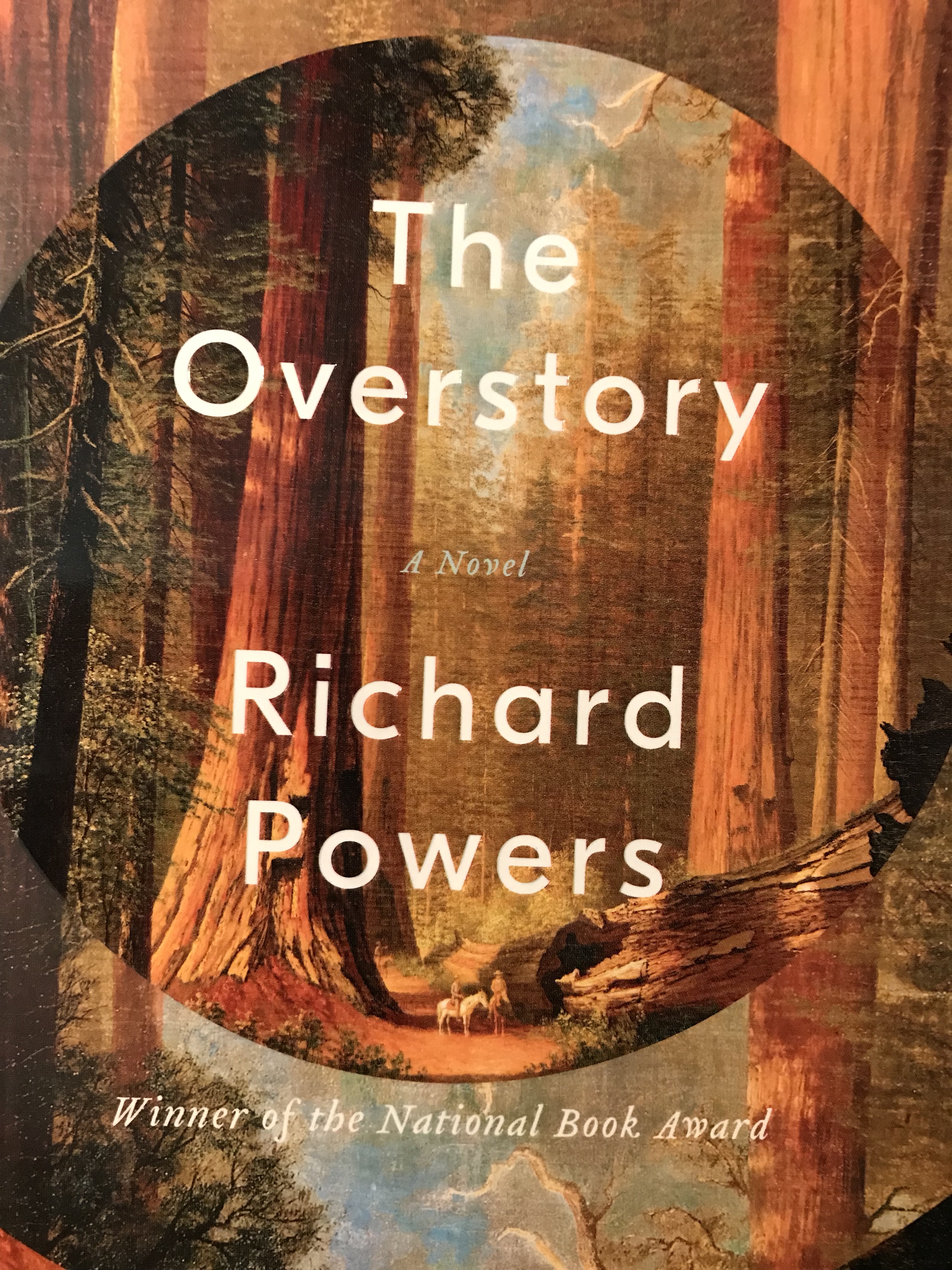 Book Review: The Overstory by Richard Powers – Rainyleaf